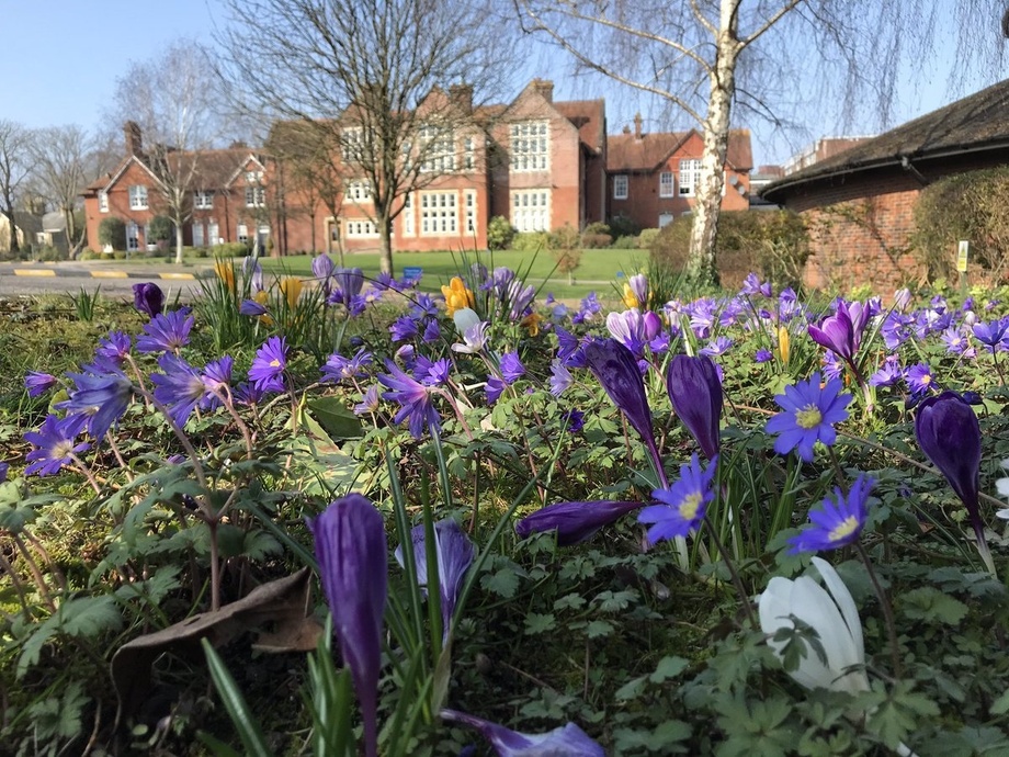 Godolphin School | Admissions